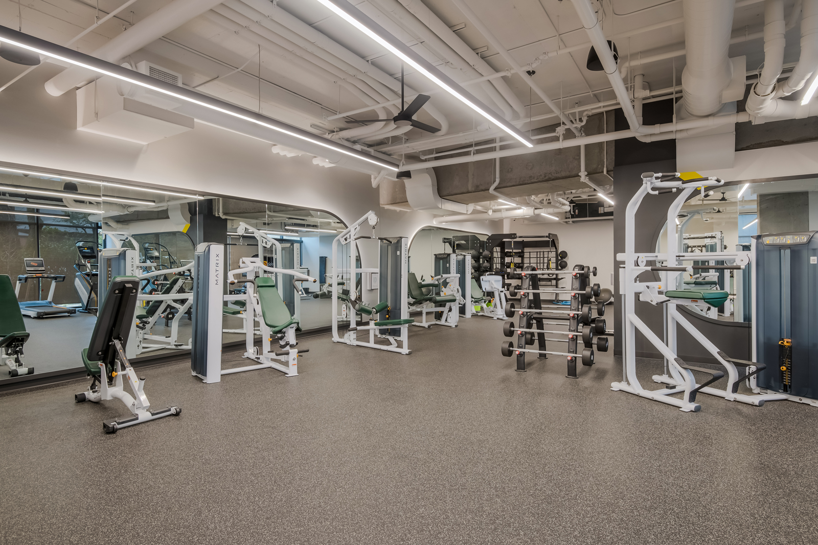 Gallery | The Rive Eugene